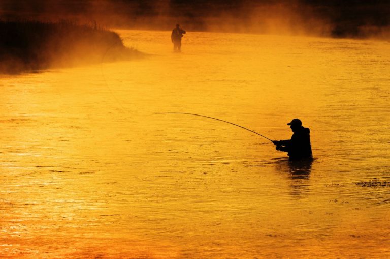 Fly Fishing The Bighorn River (A Local's Guide) - Into Fly Fishing