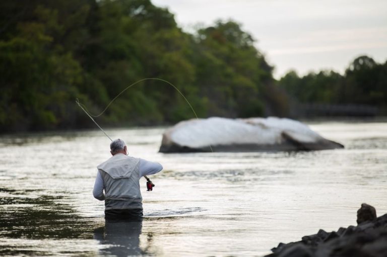 Fly Fishing in New York: An Angler's Guide: The Ultimate Angler's Guide ...