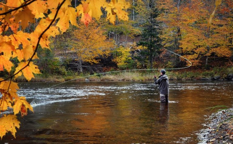 Fly Fishing in Canada: An Angler's Guide - Into Fly Fishing