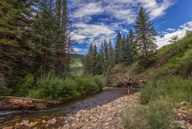 Fly Fishing On Small Streams: A Guide To Small Stream Trout Fishing ...