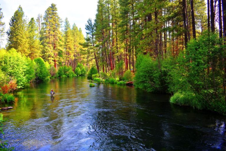 Fly Fishing in Oregon: An Angler's Guide - Into Fly Fishing