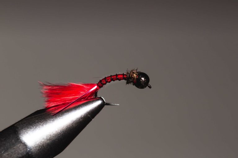 How To Tie A Bloodworm Larva (Step-By-Step With Video) - Into Fly Fishing