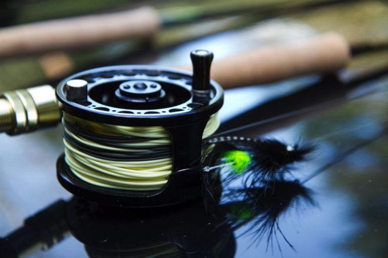 Steelhead Fly Fishing: An Angler's Guide - Into Fly Fishing