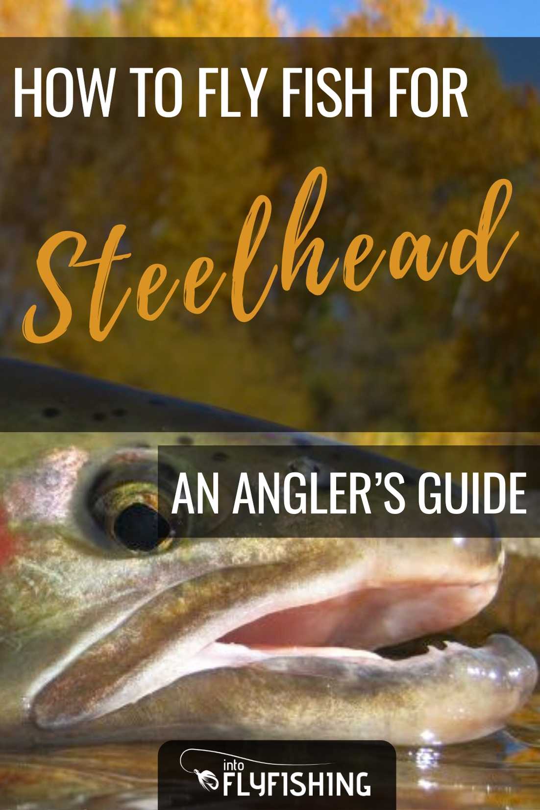 Steelhead Fly Fishing: An Angler's Guide - Into Fly Fishing