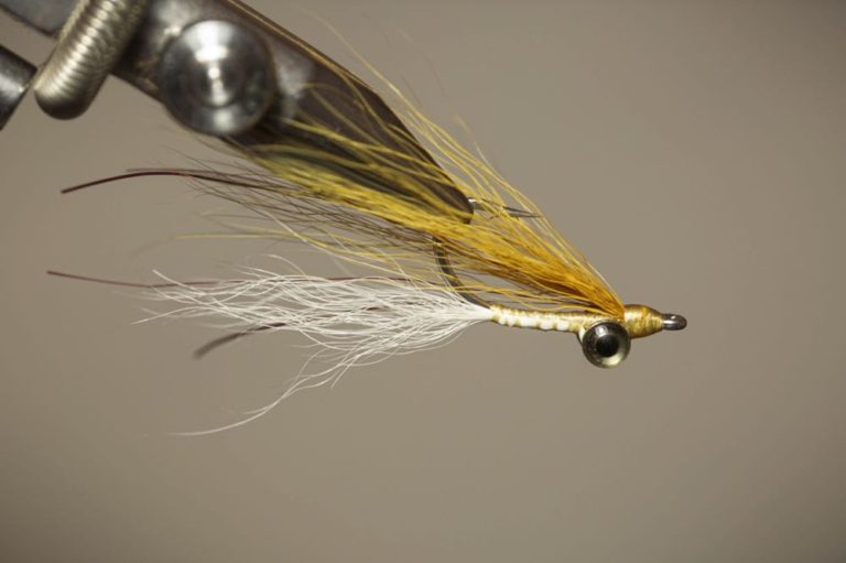 Fly Fishing Rock Creek (A Local’s Guide) - Into Fly Fishing