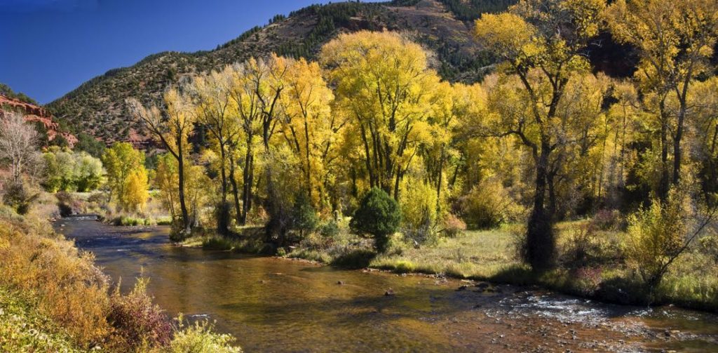 Fly Fishing Colorado: An Angler's Guide - Into Fly Fishing