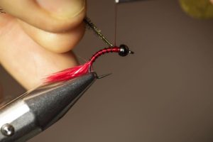 How To Tie A Bloodworm Larva (Step-By-Step With Video) - Into Fly Fishing