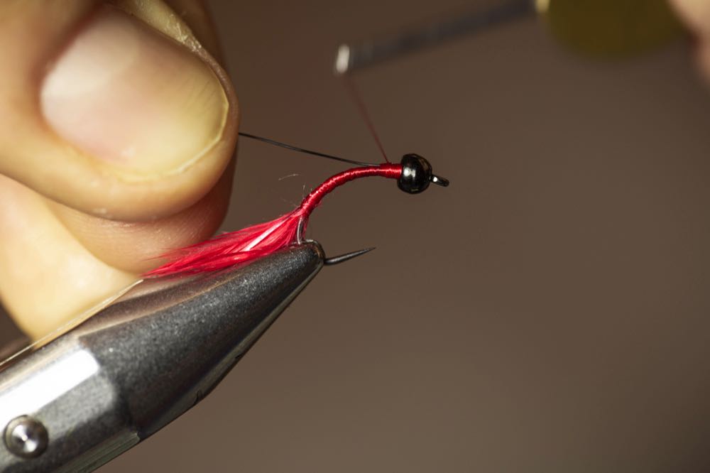 How To Tie A Bloodworm Larva (Step-By-Step With Video) - Into Fly Fishing
