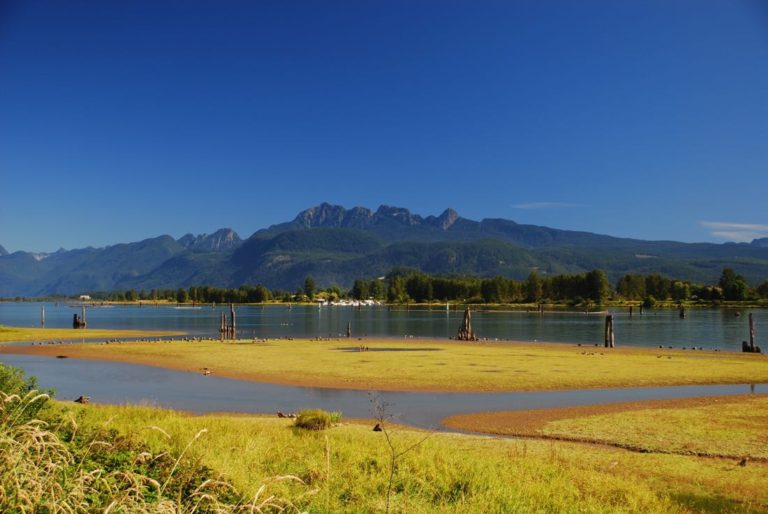 Fly Fishing British Columbia: An Angler's Guide - Into Fly Fishing