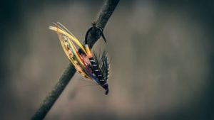 Best Salmon Flies: A Guide To Productive Salmon Patterns