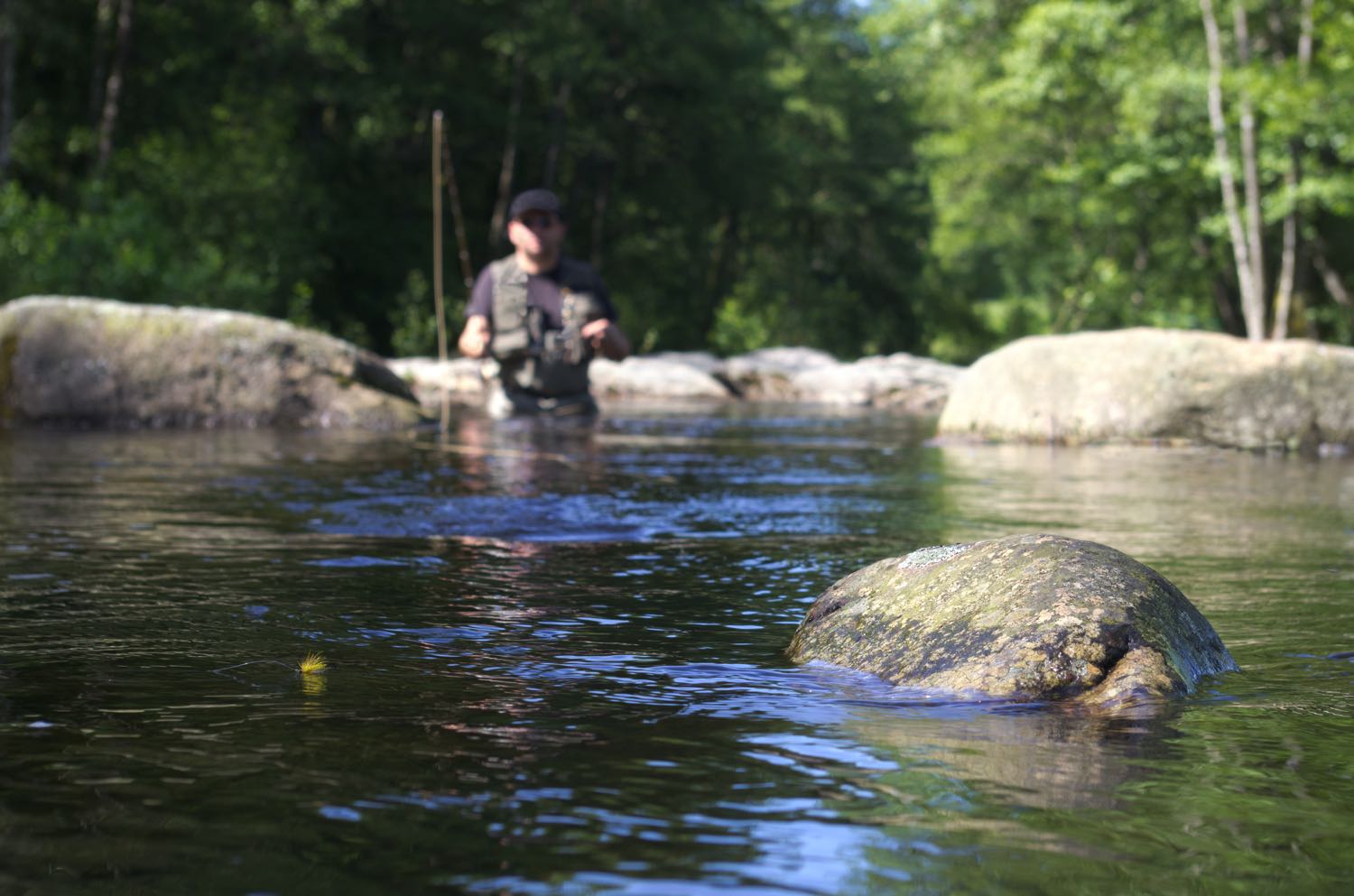 Dry Fly Fishing: An Angler's Guide - Into Fly Fishing