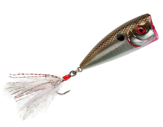 10 Best Bass Poppers: Effective Patterns & When To Fish Them - Into Fly ...