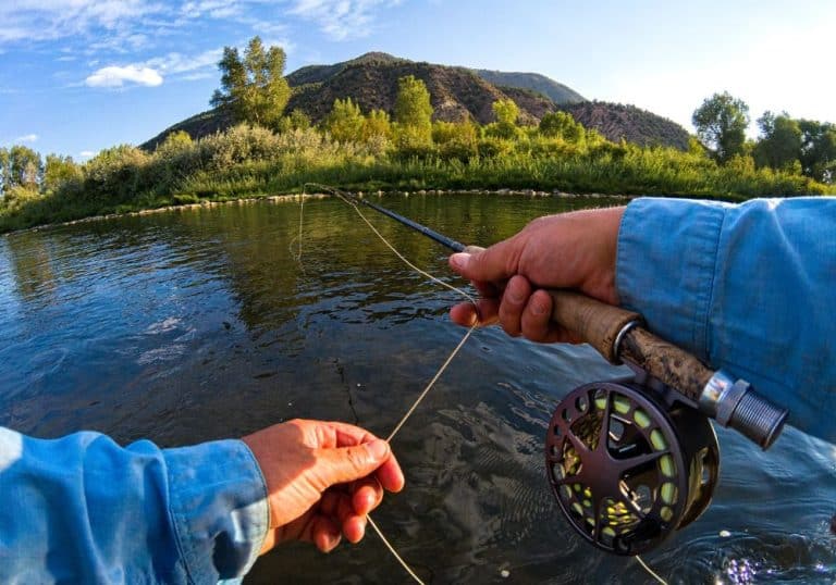 Fly Fishing For Rainbow Trout: The Ultimate Guide To Rainbow Trout ...