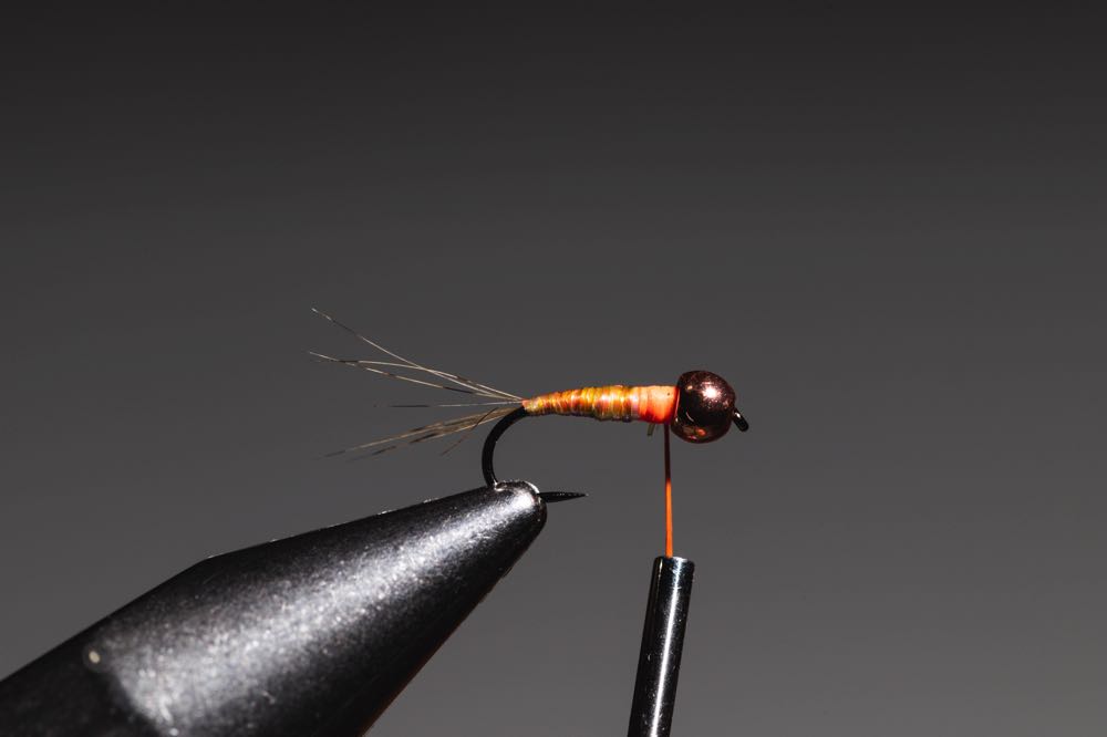 How to Tie a Perdigon Nymph (Step-By-Step With Video) - Into Fly Fishing