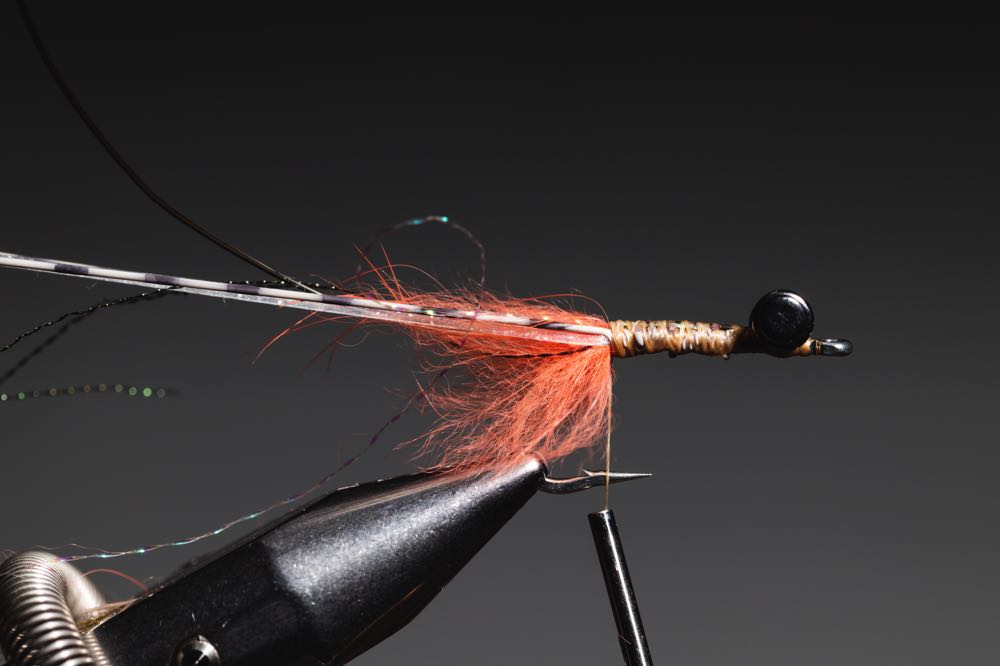 How To Tie An Avalon Shrimp (Step-By-Step With Video) - Into Fly Fishing