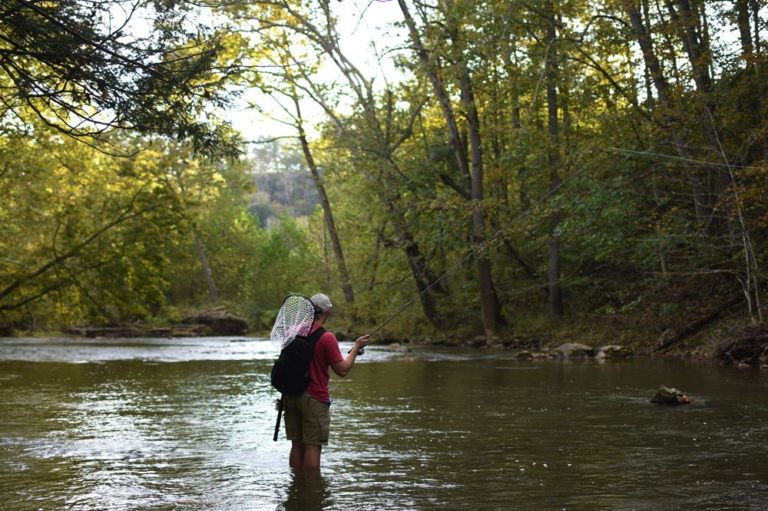 Fly Fishing Virginia (An Angler's Guide) - Into Fly Fishing