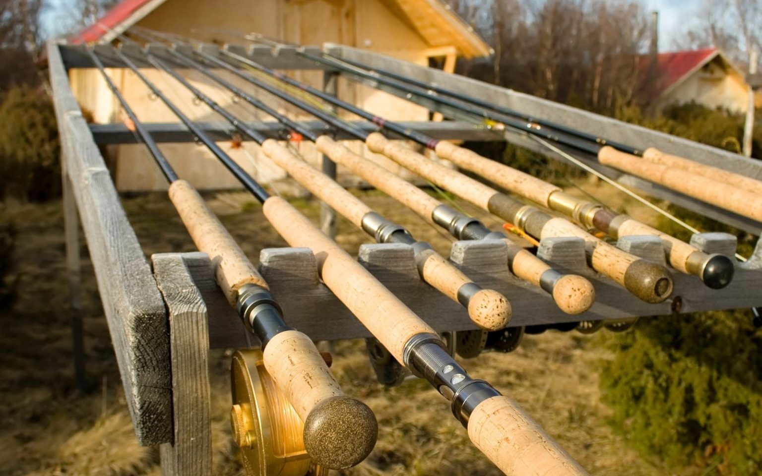 Best Fly Rods This Year - Into Fly Fishing