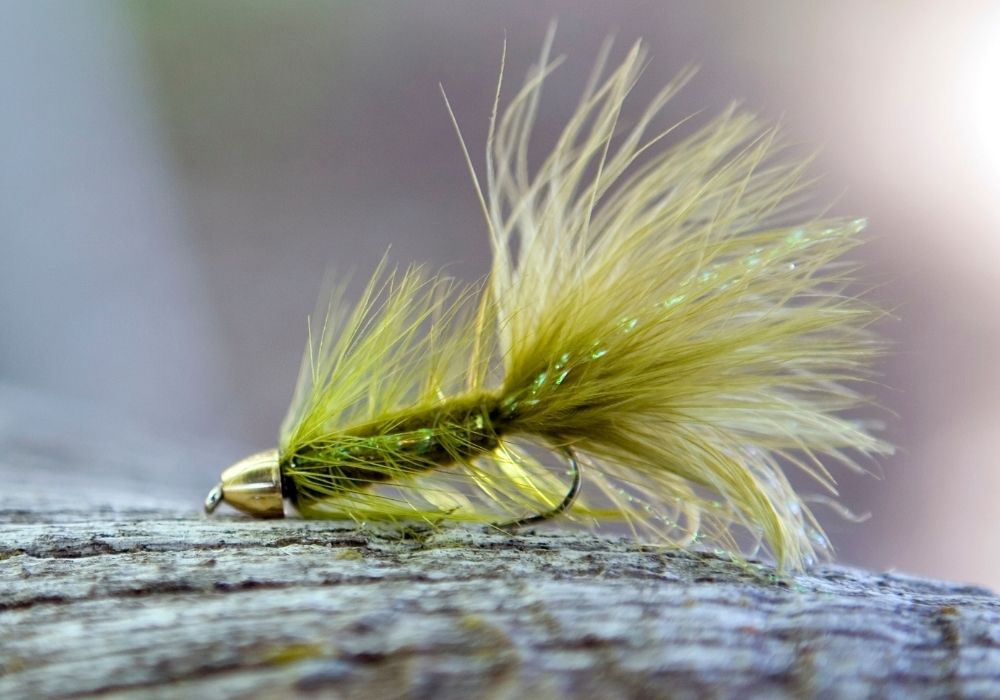 Fishing With Wooly Buggers: An Angler's Guide - Into Fly Fishing