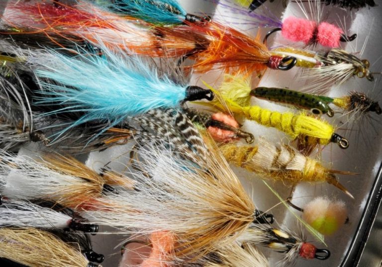 Best Steelhead Flies: A Guide To Productive Steelhead Patterns - Into ...