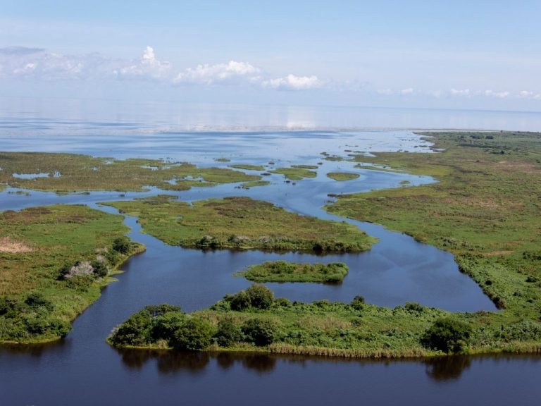 Fly Fishing in Florida (An Angler's Guide) - Into Fly Fishing
