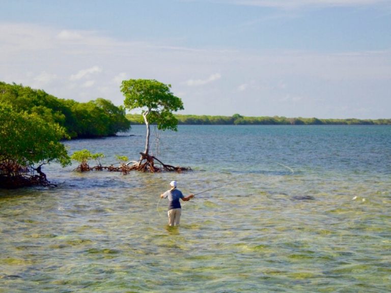Fly Fishing in Florida (An Angler's Guide) - Into Fly Fishing