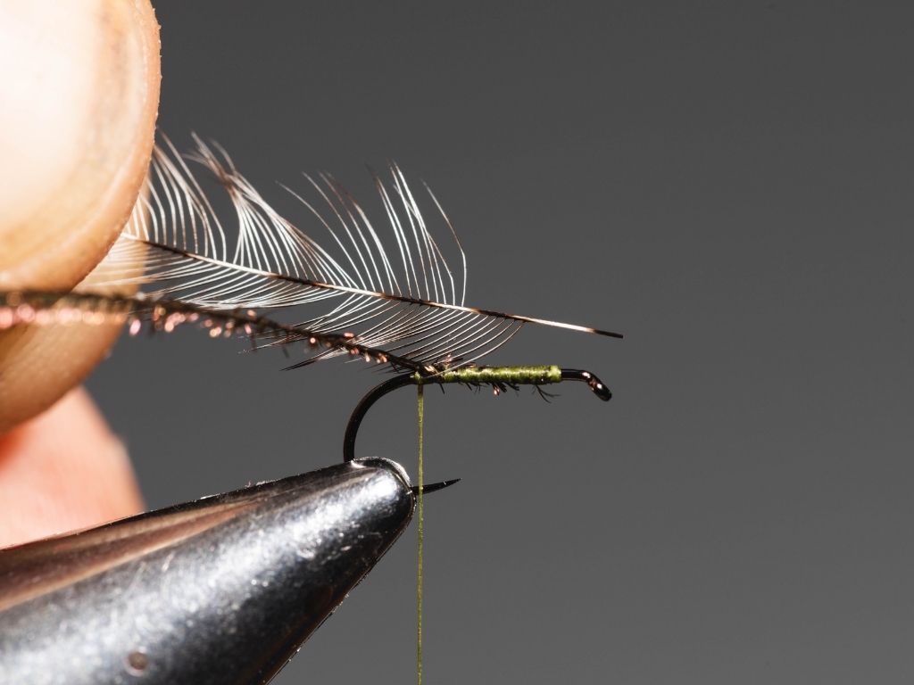 How to Tie a Griffith's Gnat (Step-by-Step with Video) - Into Fly Fishing