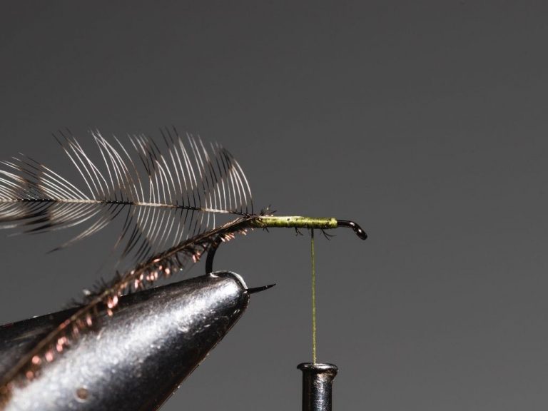 How to Tie a Griffith's Gnat (Step-by-Step with Video) - Into Fly Fishing