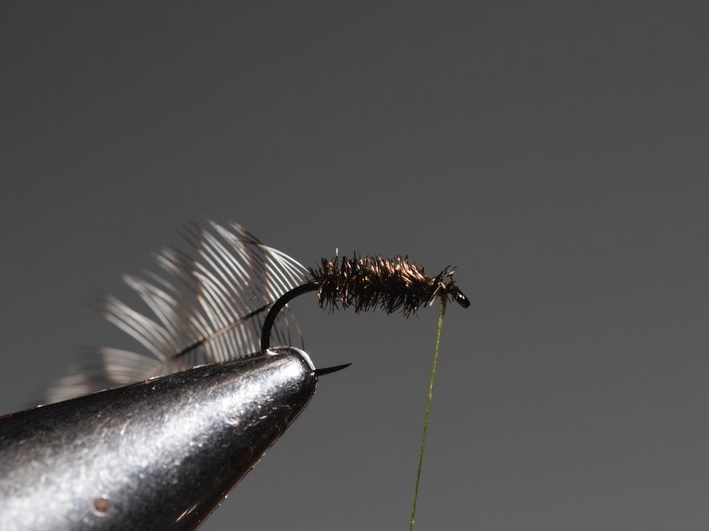 How to Tie a Griffith's Gnat (Step-by-Step with Video) - Into Fly Fishing