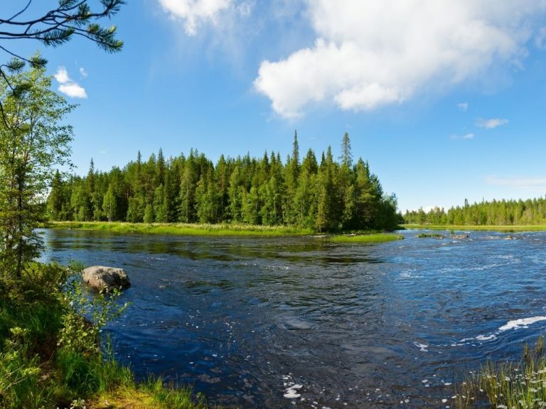Fly Fishing in Maine (An Angler's Guide) - Into Fly Fishing