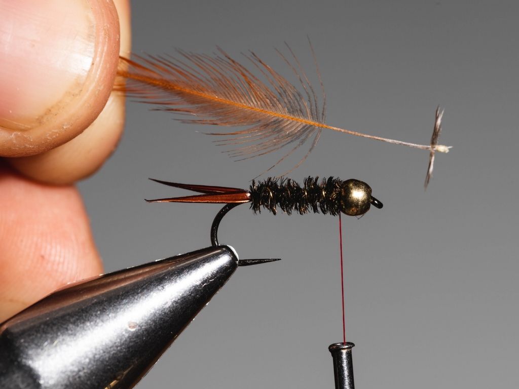 How to Tie a Prince Nymph (Step-by-Step With Video) - Into Fly Fishing