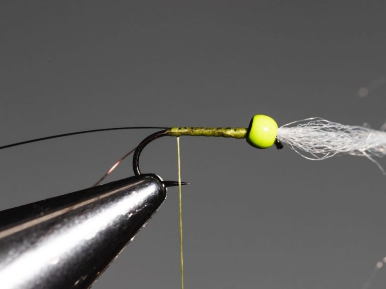 How to Tie a Chromie (Step-by-Step With Video) - Into Fly Fishing