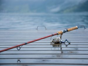 Fly Rod vs Spinning Rod (What's the Difference?) - Into Fly Fishing
