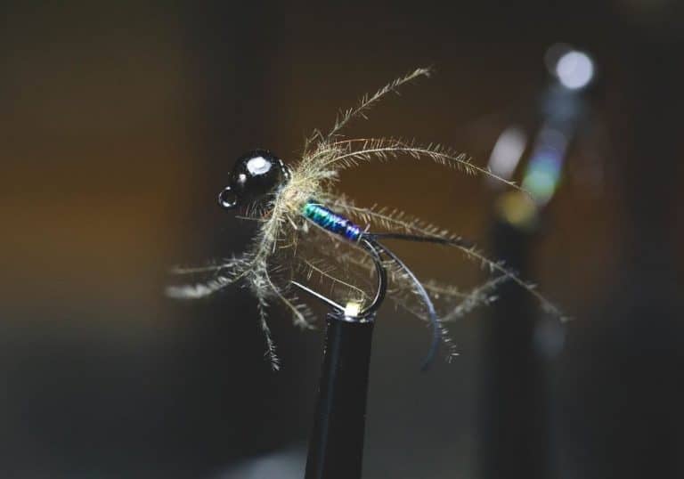 The Best Euro Nymphing Flies - Into Fly Fishing