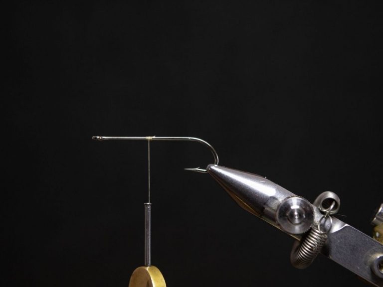 How to Tie a Gurgler (Step-by-Step with Video) - Into Fly Fishing