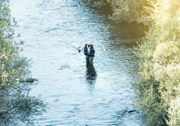 5 Best 1 Weight Fly Rods (2025 Buyer's Guide) - Into Fly Fishing