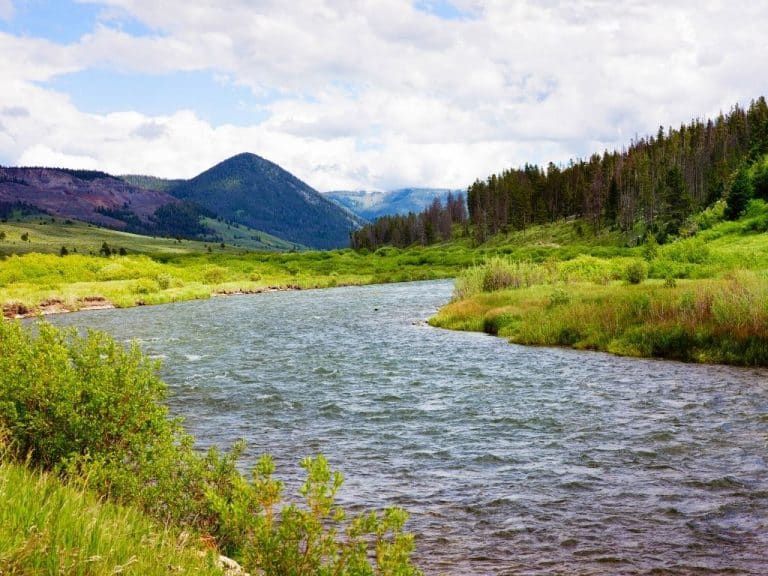 Fly Fishing Casper (An Angler's Guide) - Into Fly Fishing