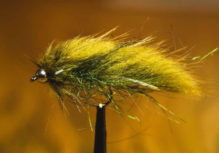 10 Best Stillwater Trout Flies (2023 Buyer’s Guide)