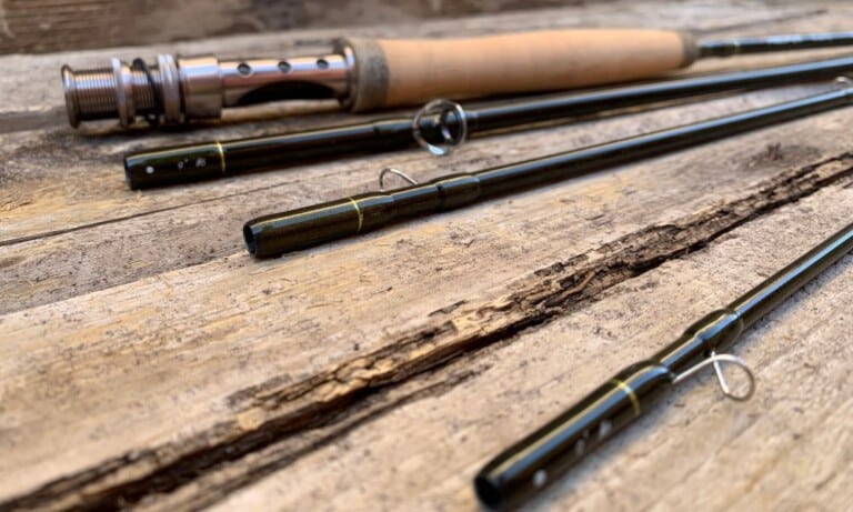 Piscifun Sword Rod Review (Hands-on & Tested)