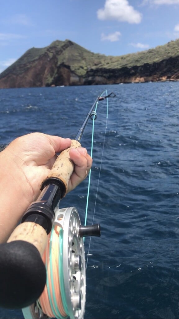 Shilton SL Fly Reel Review (Hands-On & Tested) - Into Fly Fishing