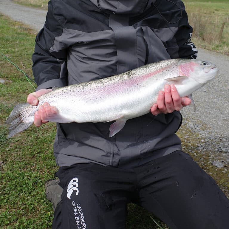 Fly Fishing in North Wales (The Ultimate Guide) - Into Fly Fishing