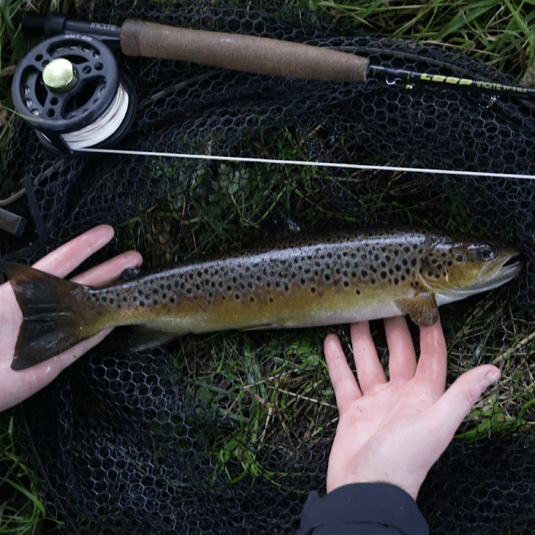 Fly Fishing in Northern Ireland (A Local's Guide) - Into Fly Fishing