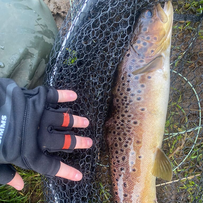 Fly Fishing around Belfast (The Ultimate Guide) - Into Fly Fishing