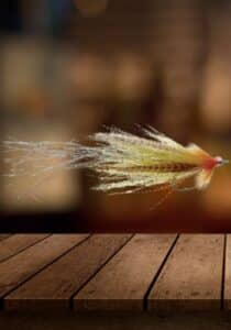 Connecticut River Fishing (An Angler's Guide) - Into Fly Fishing