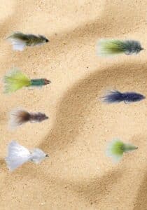 Farmington River Fishing (An Angler's Guide) - Into Fly Fishing