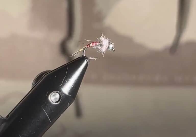 How To Tie A Rainbow Warrior: A Step-By-Step Guide - Into Fly Fishing